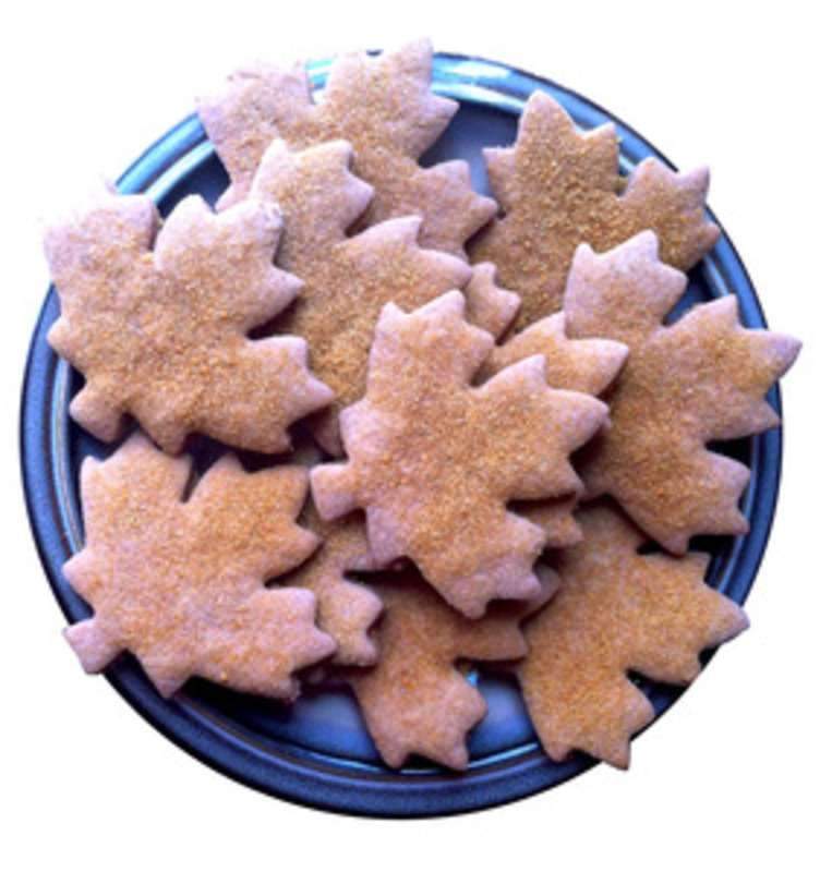 Chocolate Maple Sugar Cookies - The Spice House