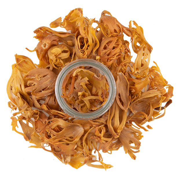 Blade Mace: A Culinary Secret - The Spice House